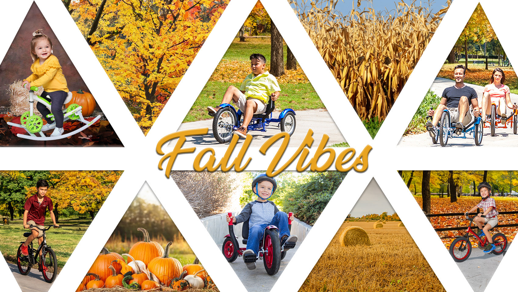 Buy Adult Tricycles - 3 Wheel Bikes & Toddlers | Mobo Cruiser